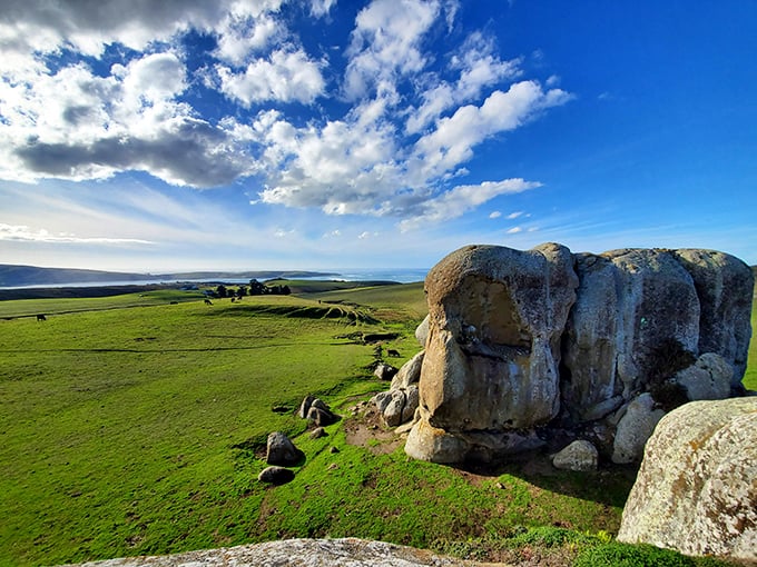 Rolling hills that would make a Windows screensaver jealous—the pastoral backdrop that makes this coastal escape feel worlds away from city life.