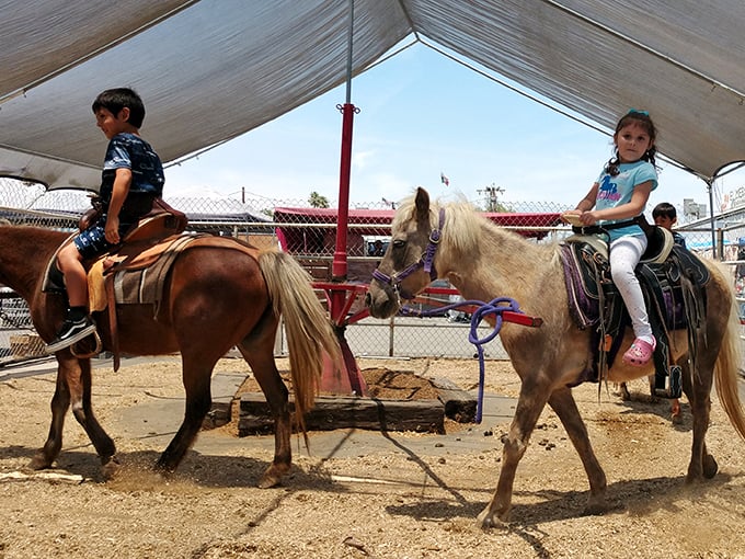 Pony rides bring childhood magic to a marketplace otherwise devoted to commerce. The smiles here aren't negotiable—they're included in the price.