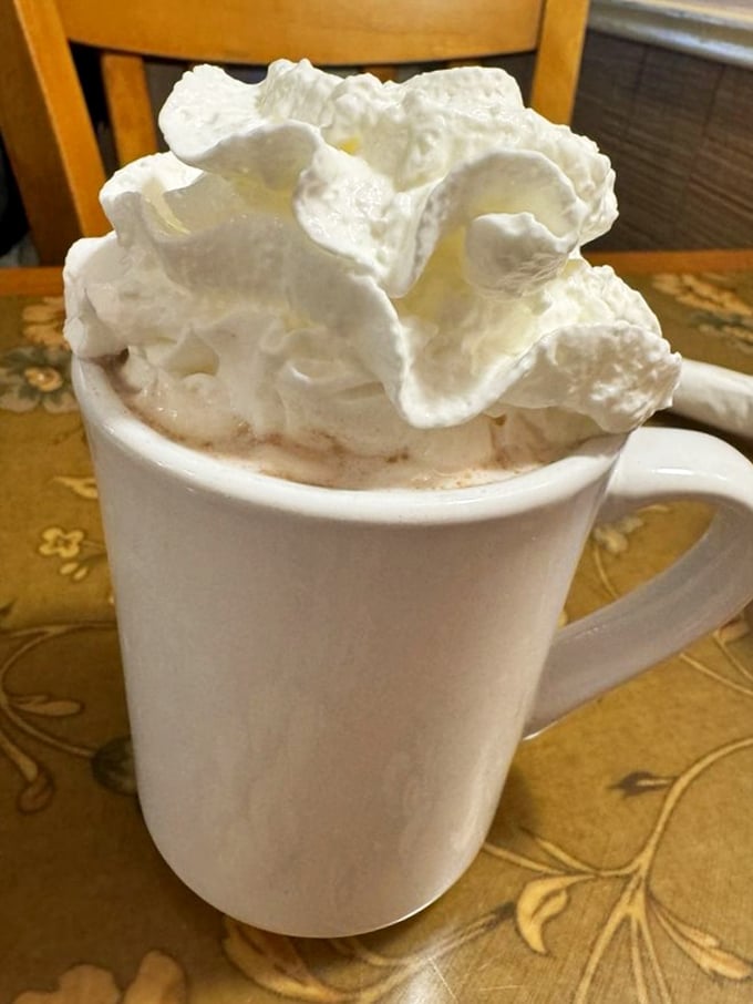 Hot chocolate that doesn't just have whipped cream—it has a whipped cream skyscraper that defies both gravity and restraint.