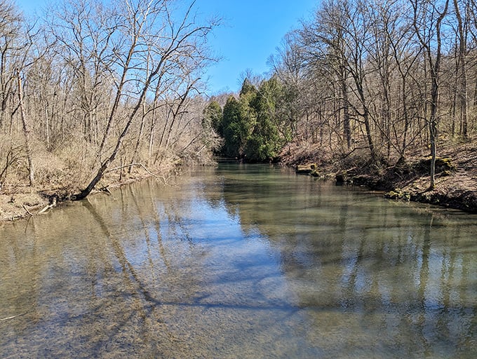 The Little Miami River glides through the park like liquid glass, reflecting winter-bare trees in a mirror only nature could craft.
