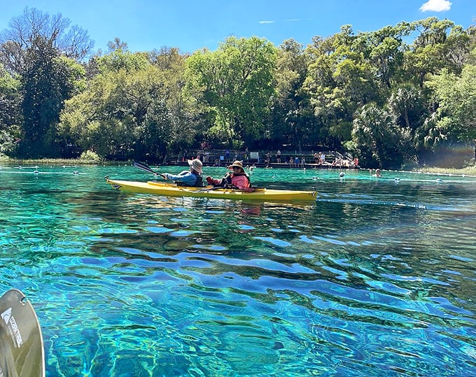 Two kayakers glide through waters so clear they appear to be floating on air—Rainbow River's visibility rivals the Caribbean without the passport requirement.