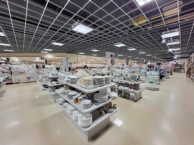 Plates, bowls, and mugs stand in formation, like a ceramic army ready to march into your kitchen cabinets.
