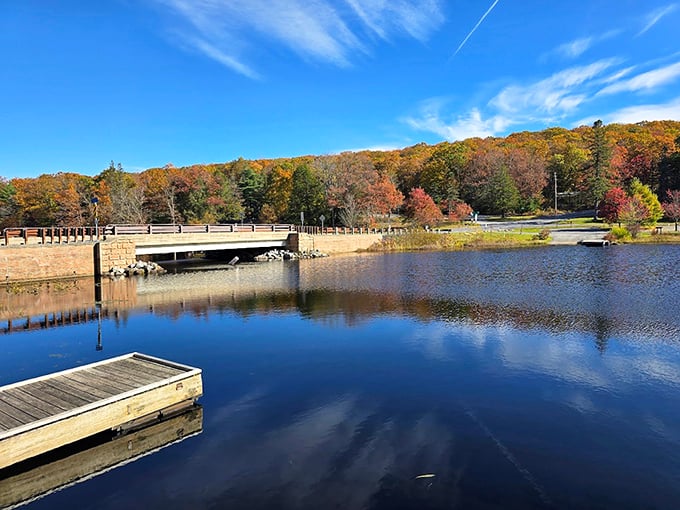 Autumn's masterpiece reflected in tranquil waters. Fall foliage at Black Moshannon doesn't just change color—it puts on a complete show.