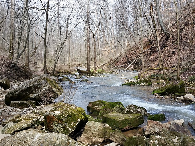 Early spring reveals the park's skeleton – a rushing stream cutting through bare trees, raw and beautiful in its unadorned state.