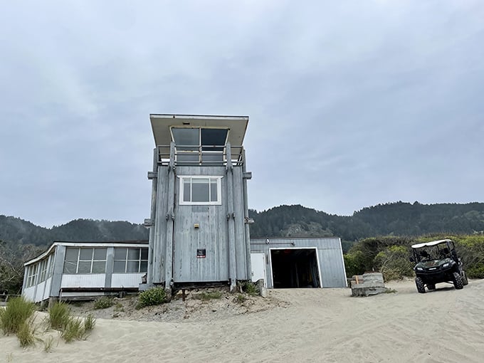 Not your average office with a view. This lifeguard tower stands ready for summer drama—part lookout, part landmark, all California cool.