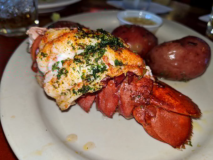 A perfectly broiled lobster tail with herb butter and red potatoes – proof that sometimes the simplest preparations let great ingredients shine brightest.