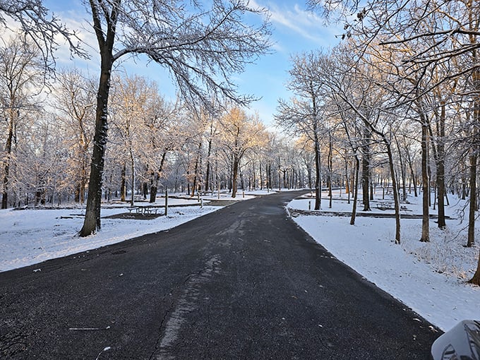 Winter transforms the park into a snow globe come to life—silent, pristine, and begging for the first set of footprints.