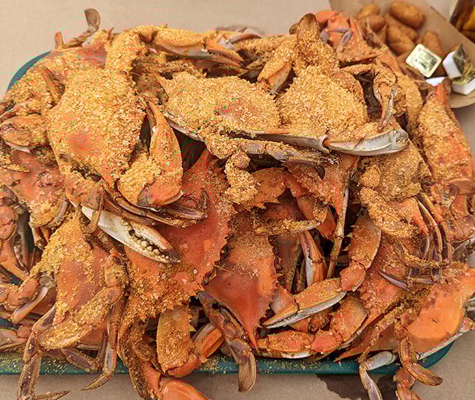 A mountain of steamed crabs dusted with Old Bay—Maryland's version of buried treasure that's meant to be discovered with your hands.