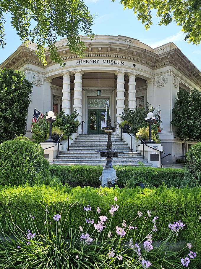 The McHenry Museum's classical columns and manicured gardens offer cultural enrichment that costs significantly less than a weekend in Napa.