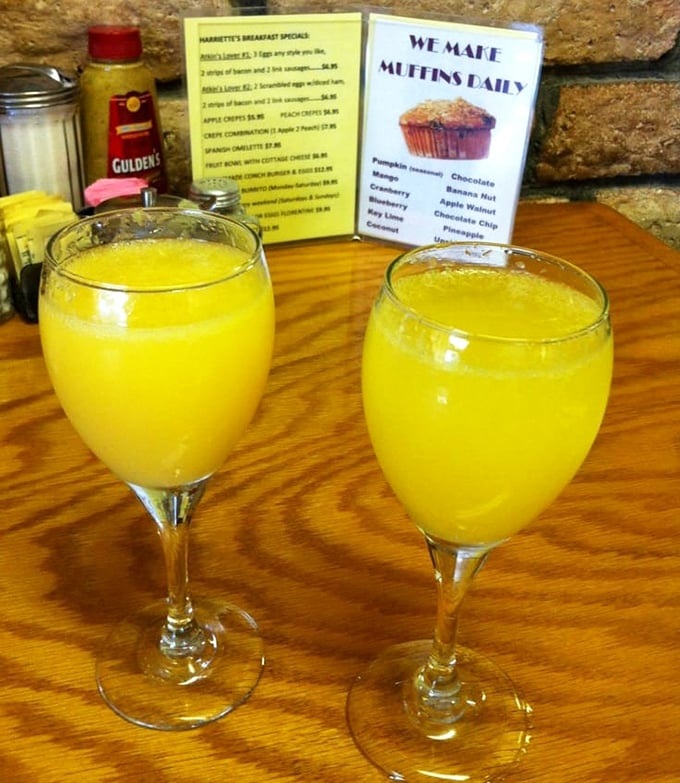 Morning mimosas in the Keys—because sometimes vacation breakfast deserves a splash of champagne to toast the day's adventures before they begin.