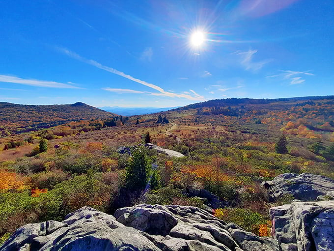 Fall's paintbrush transforms the highlands into a masterpiece of amber, crimson and gold. Nature showing off like it's auditioning for National Geographic.