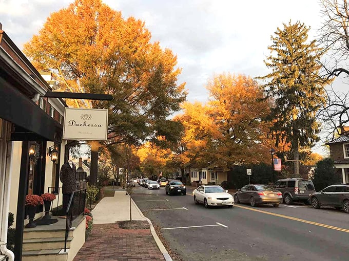 Fall in Middleburg transforms ordinary streets into cinematic experiences, with trees performing their annual color spectacular without charging admission.