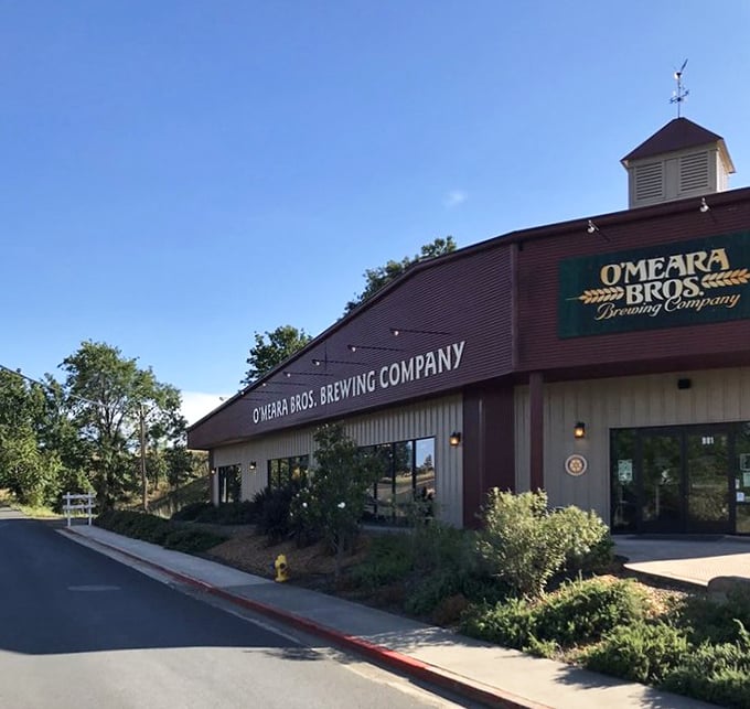 O'Meara Bros. Brewing Company proves that great craft beer doesn't require hipster credentials – just passion, quality ingredients, and a thirst for perfection.