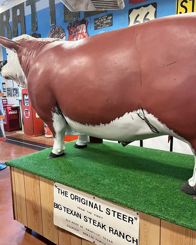 "The Original Steer" stands as a reminder of what all this fencing was about—controlling these massive creatures that shaped Texas history. 