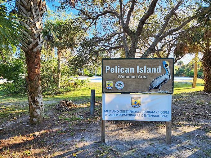 Pelican Island Wildlife Refuge—America's first federal wildlife refuge—where birds have better waterfront real estate than most humans could dream of affording.