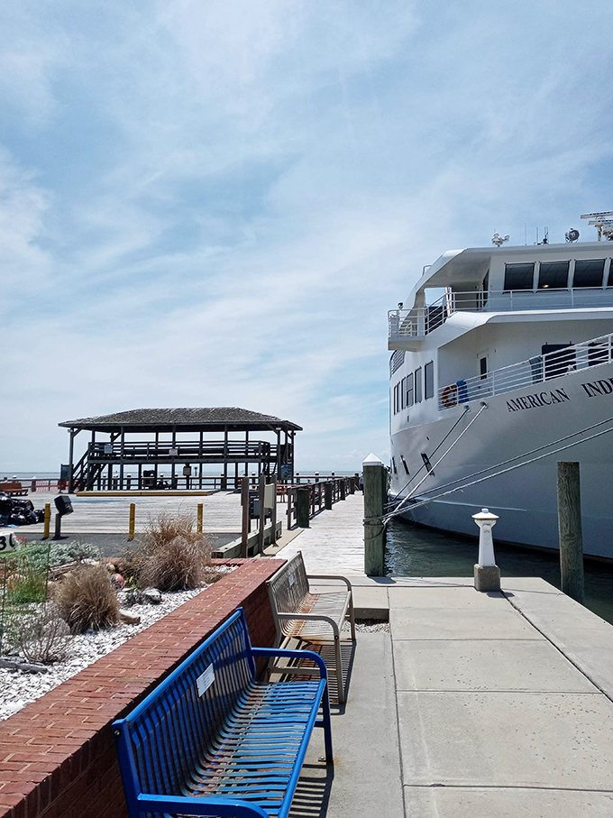The ferry dock isn't just transportation infrastructure—it's Crisfield's gateway to adventure and a front-row seat to the rhythms of Chesapeake Bay life.