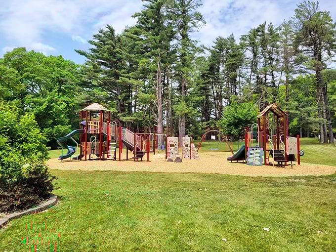 Little explorers find their paradise on this playground, where the soundtrack of childhood laughter competes with rustling pine needles overhead.