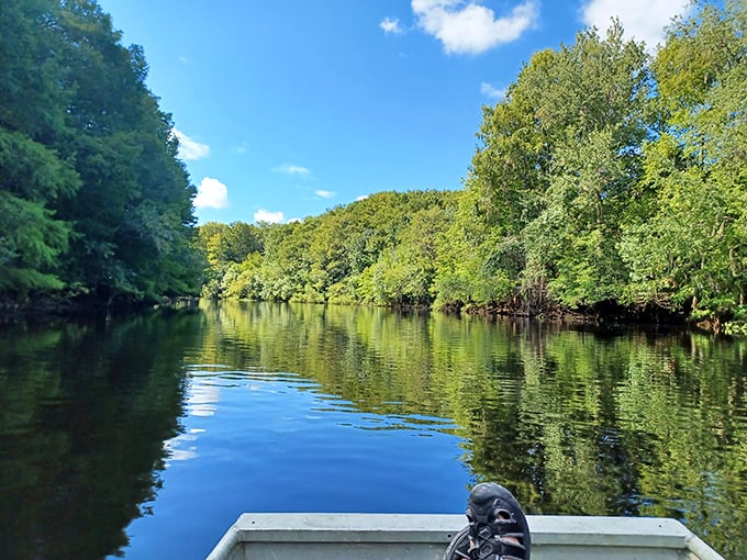 Gliding through tree-lined waterways feels like traveling through a living postcard – Florida's natural side at its most serene.