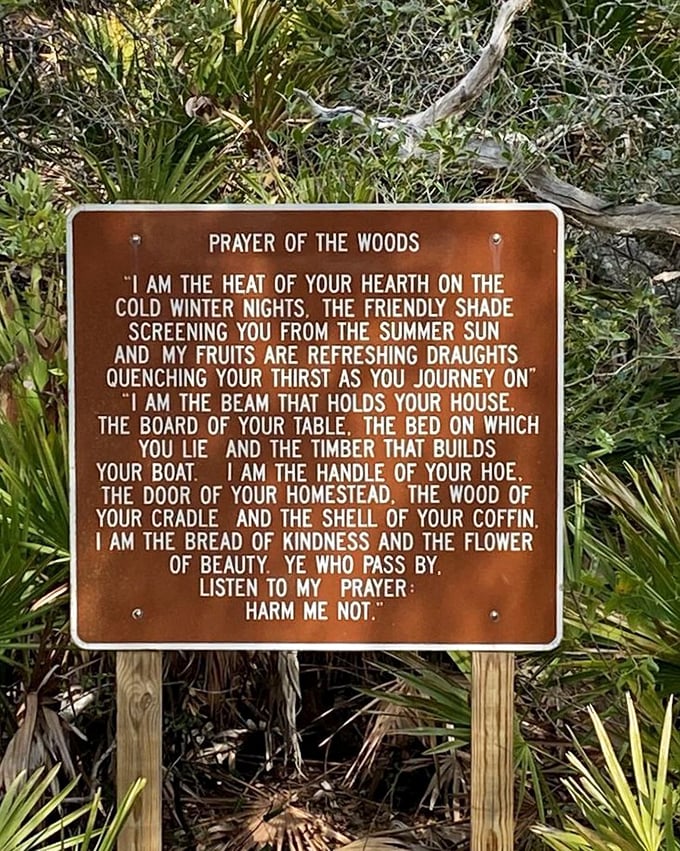 "Prayer of the Woods" sign: A poetic reminder that these trees were here long before us and deserve our respect. Wisdom posted trail-side.