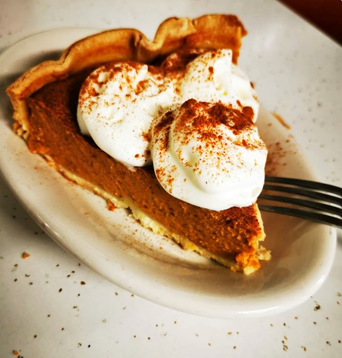 Pumpkin pie with a cloud of whipped cream and a sprinkle of cinnamon—autumn's greatest hit playing on repeat year-round.