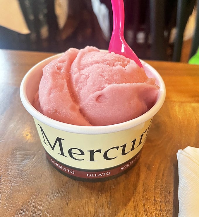 That raspberry sorbet isn't just dessert—it's summer captured in a cup, waiting to perform a sweet encore after your pizza performance.