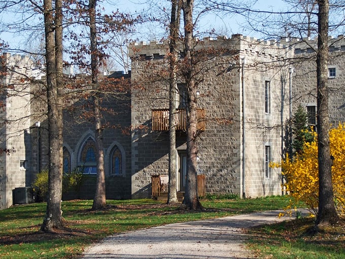The castle's impressive façade takes on a golden hue in autumn sunlight, its stone walls contrasting beautifully with the surrounding woodland.