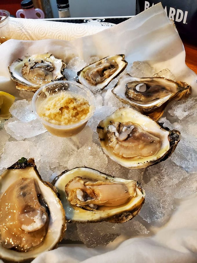 Fresh oysters on the half shell—nature's perfect appetizer, requiring nothing more than a squeeze of lemon and a sense of adventure.