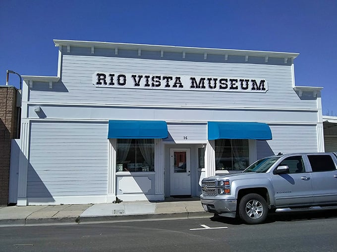 The Rio Vista Museum – where yesterday's ordinary becomes today's fascinating. Small-town museums always have the best stories, told by people who actually lived them.