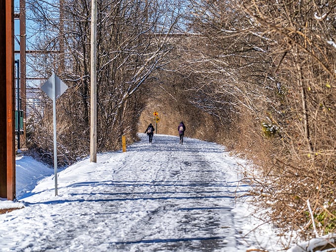 Even in winter, the Schuylkill River Trail beckons the brave and bundled, offering solitude and scenery in equal measure.
