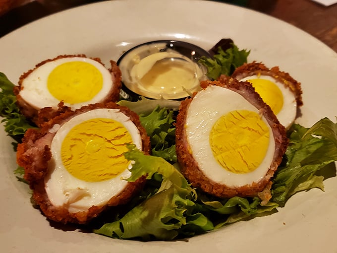 Scotch eggs: the ultimate protein package. Crispy on the outside, perfectly jammy yolks within—like edible treasure chests for grown-ups.