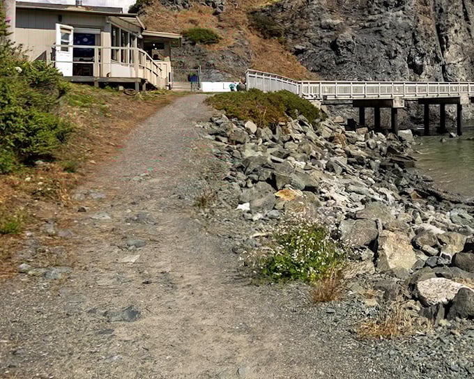 This humble harbor-side building might not look like much, but it's where locals get their seafood fix with views that million-dollar restaurants can't match.