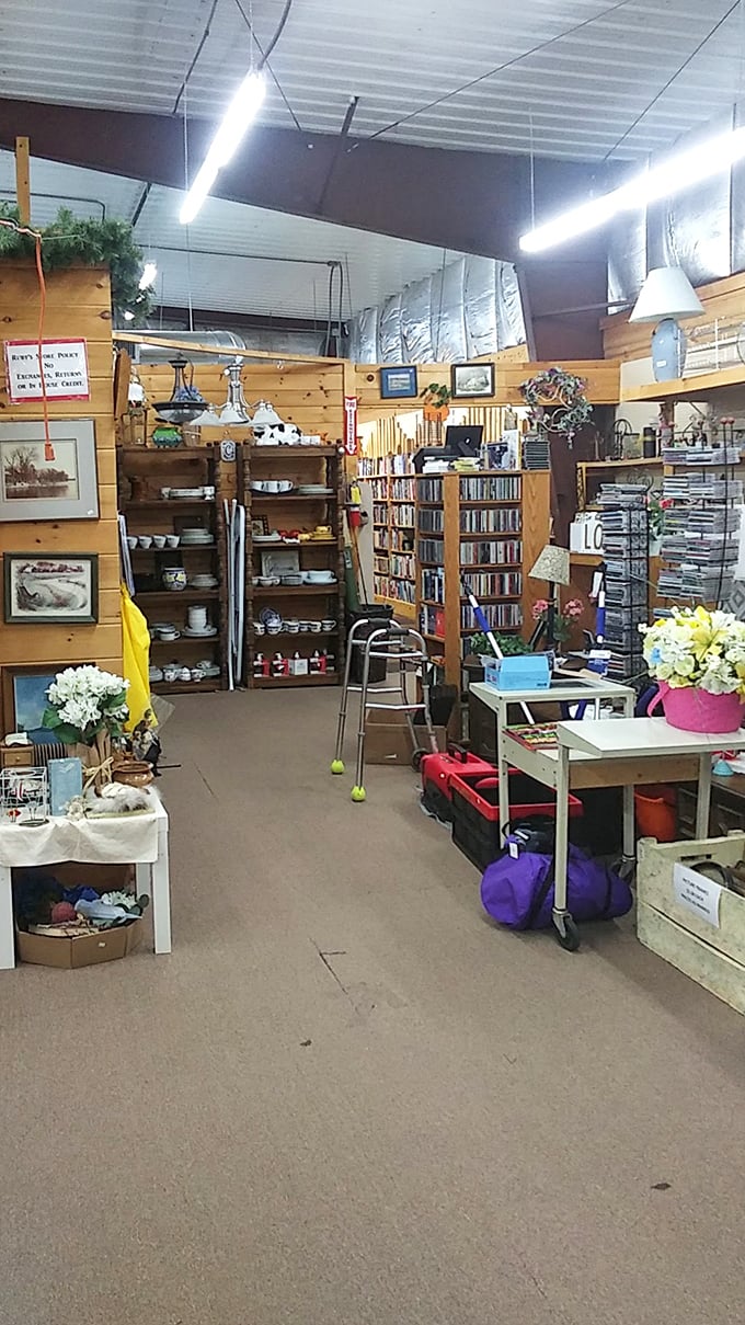 Books, dishware, and treasures await in this well-organized wonderland—proof that one person's "I'm done with this" is another's "I've been looking everywhere!"