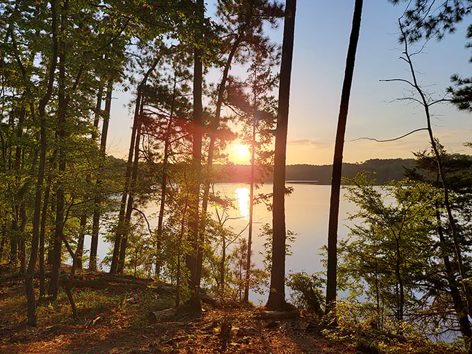 Sunsets like this don't require fancy restaurants or expensive tickets – just the wisdom to show up and watch.