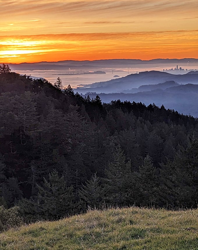 Sunrise paints the famous "sea of fog" in golden hues, transforming the morning marine layer into nature's most spectacular lava lamp.