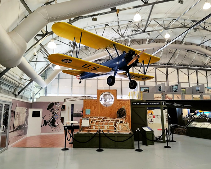 Sunshine yellow wings against military green—this vintage training aircraft reminds us that even serious business can have a splash of color.