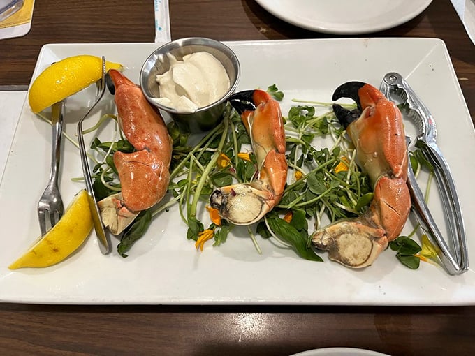 Stone crab claws presented like oceanic jewelry on a bed of microgreens – Florida's seasonal treasure worth every delicious effort.