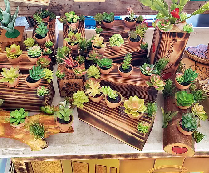 Succulent heaven! These little potted wonders require so little yet give so much—like the plant equivalent of that friend who never forgets your birthday.