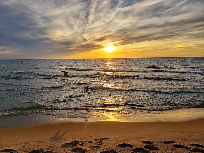 Nature's light show doesn't require tickets or reservations – just the patience to witness Lake Michigan's daily curtain call.