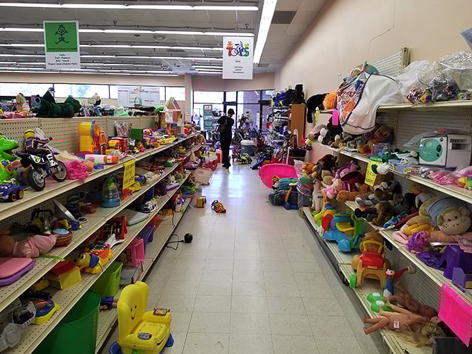 Toy paradise or parent's nightmare? This aisle contains enough childhood joy to power a small city, and enough potential noise to concern the neighbors.