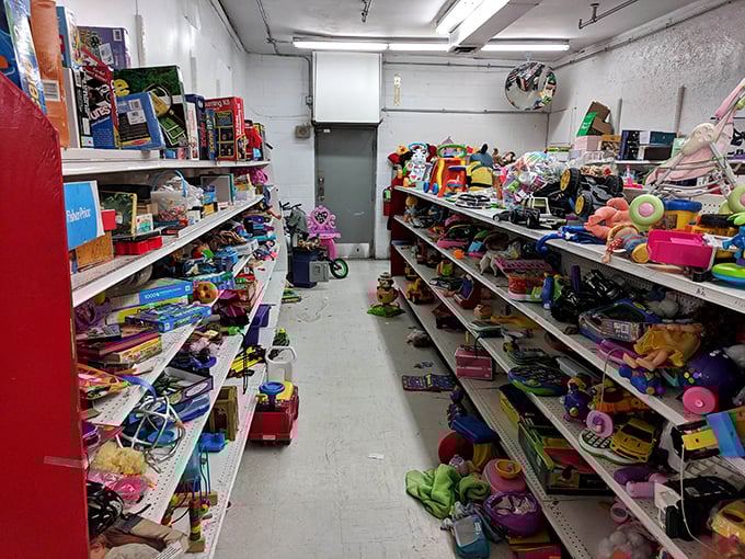 Toy paradise or plastic purgatory? This colorful chaos of childhood dreams offers everything from barely-played-with puzzles to mysterious action figures missing their backstories.