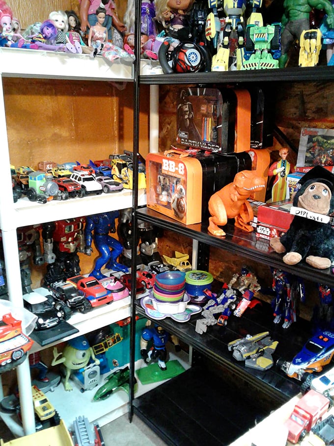 Childhood nostalgia by the shelf-full. These toys aren't just plastic and metal—they're time machines to Saturday mornings past.