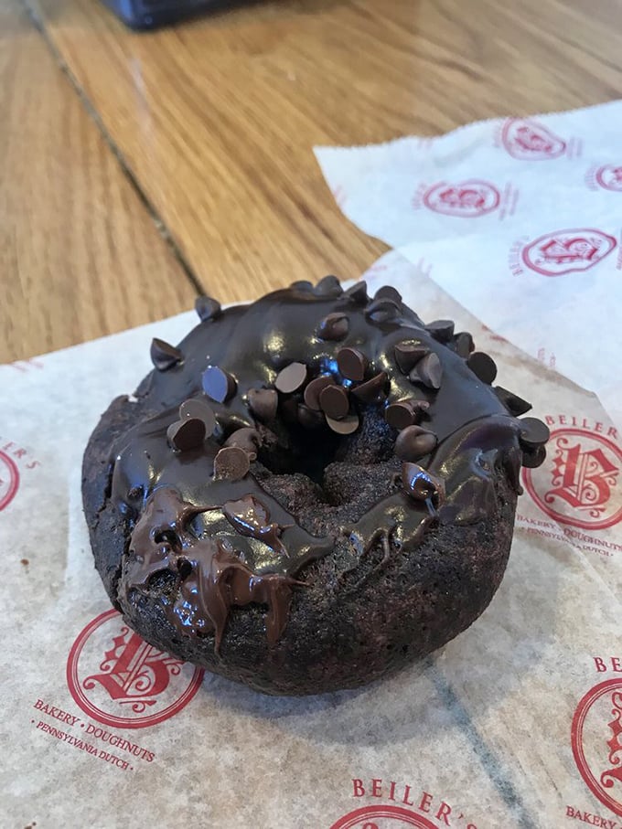 This chocolate donut doesn't just have chips—it's wearing a chocolate chip crown fit for dessert royalty.