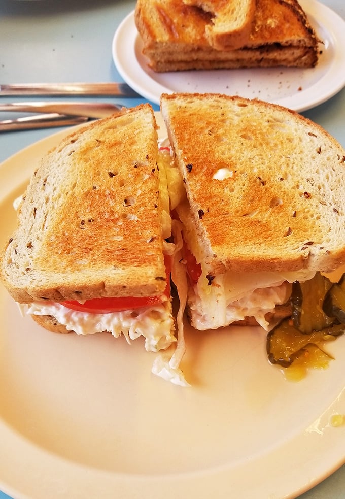 A sandwich cut with geometric precision that would make Pythagoras proud. Tuna salad, tomato, and pickle – the holy trinity of lunch.