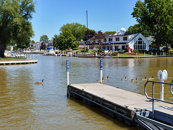 Riverside homes with private docks—where morning coffee comes with a side of gossiping geese and spectacular views.