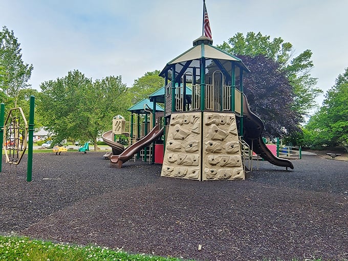 This playground proves Doylestown cares about its smallest citizens, offering climbing adventures where imagination runs as wild as the kids.