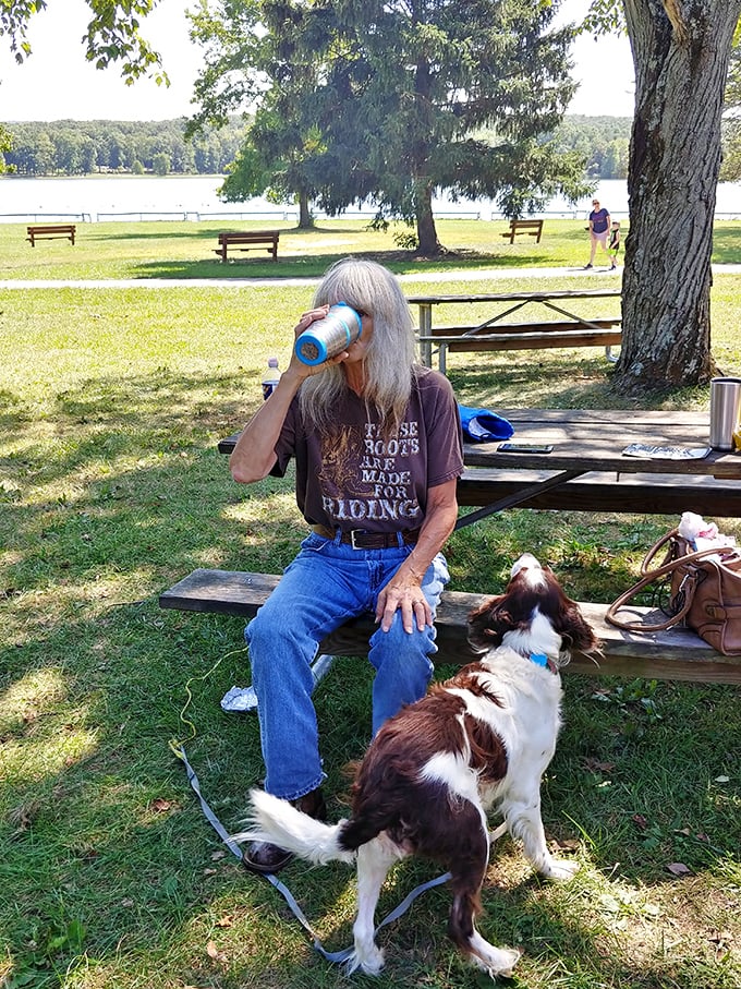 A peaceful moment at the picnic area where dogs, drinks, and dappled shade create the perfect recipe for an afternoon escape.