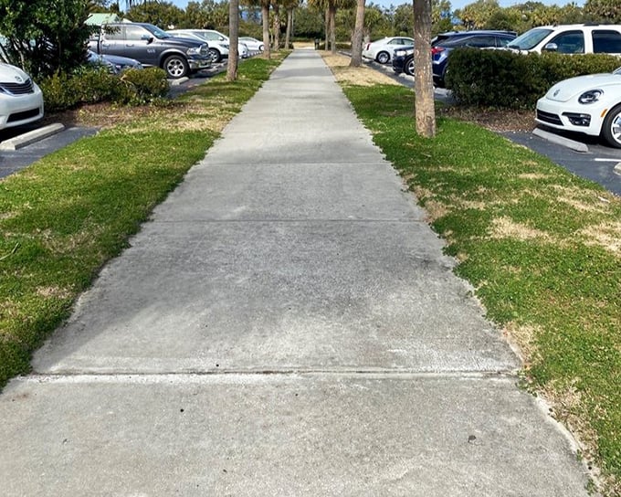 A well-planned pathway flanked by palm trees and parking spaces—the unsung hero of beach accessibility. Vacation begins the moment you step out.