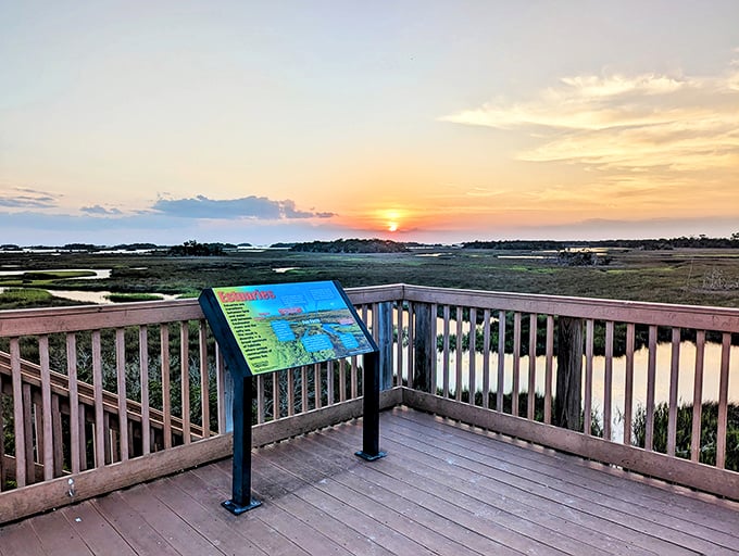 Sunset at Withlacoochee Gulf Preserve – Mother Nature's way of showing off that she doesn't need filters or special effects to create magic.