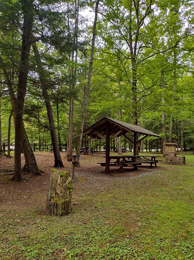 Lunch with a canopy view! These rustic picnic shelters offer dining al fresco with overhead protection courtesy of Pennsylvania's finest trees. 