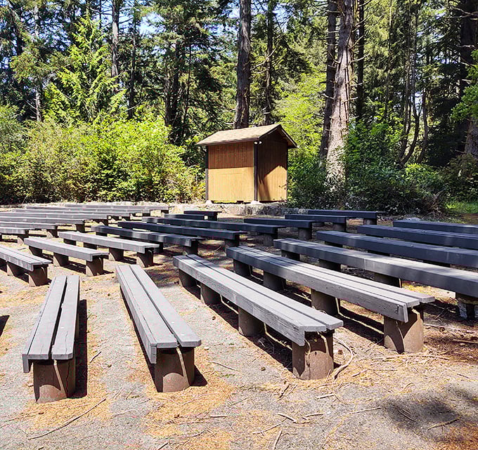 Nature's amphitheater awaits. These simple benches have hosted countless ranger talks, where visitors learn the secrets of this coastal wonderland.
